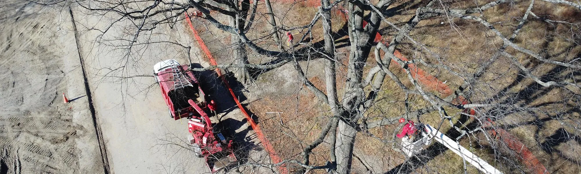 Organic nutrients | Certified Arborists in Charlottesville for over 100 ...